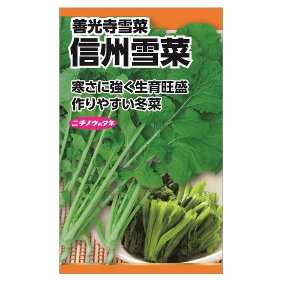信州雪菜(善光寺雪菜) 種・小袋 （6ml） 固定種 : 苗木部 花ひろばオンライン - 通販 - Yahoo!ショッピング