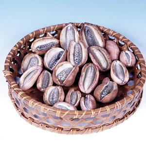 果樹苗 アケビ 苗木 ミツバアケビ 4.5号(13.5cm) ポット苗 果樹苗木 つる性 落葉樹 : イングの森 - 通販 - Yahoo!ショッピング