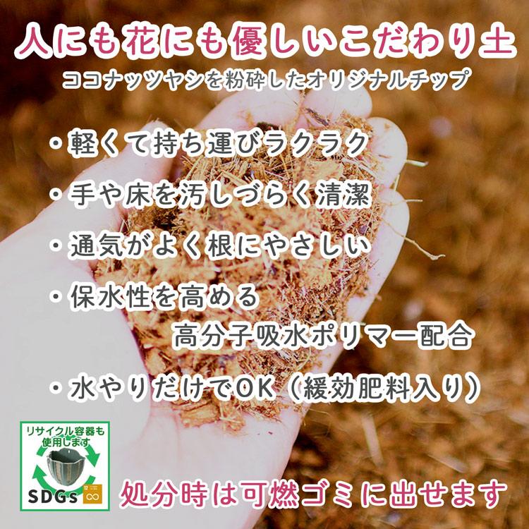 \お試し価格／食べれる寄せ植え『エディブルフラワー ナデシコのハンギングバスケット 』Mサイズ シンプル | オーガニック 栽培 完全 無農薬 食用花 玄関 : 花うるる(ハンギング&寄せ植え ...