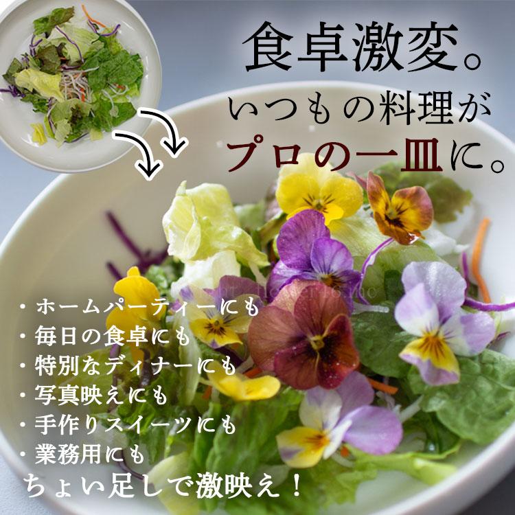 \お試し価格／食べれる寄せ植え『エディブルフラワー ナデシコのハンギングバスケット 』Mサイズ シンプル | オーガニック 栽培 完全 無農薬 食用花 玄関 : 花うるる(ハンギング&寄せ植え ...