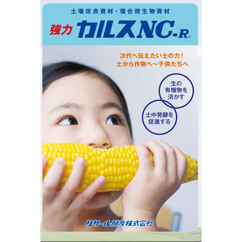送料無料 土壌改善資材『カルスNC-R 1kg(粉状)』リサール酵産 (肥料 土 土壌改良剤 複合性微生物 youtube 農チューバ― 家庭菜園 園芸 畑作 農家 微生物 堆肥 ...