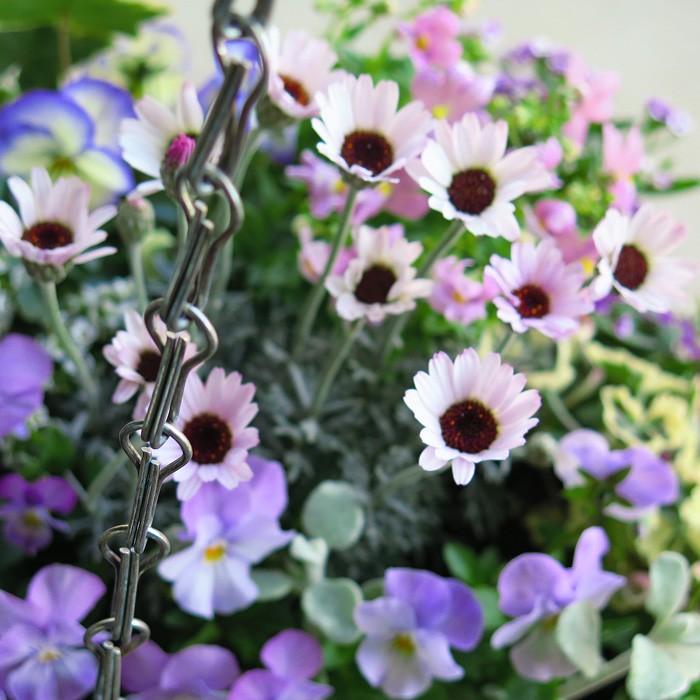 送料無料 限定5個 「春の風を運ぶ花たっぷり 吊り下げ かご型ハンギングバスケット寄せ植え~Spring*wind」 :turi ...