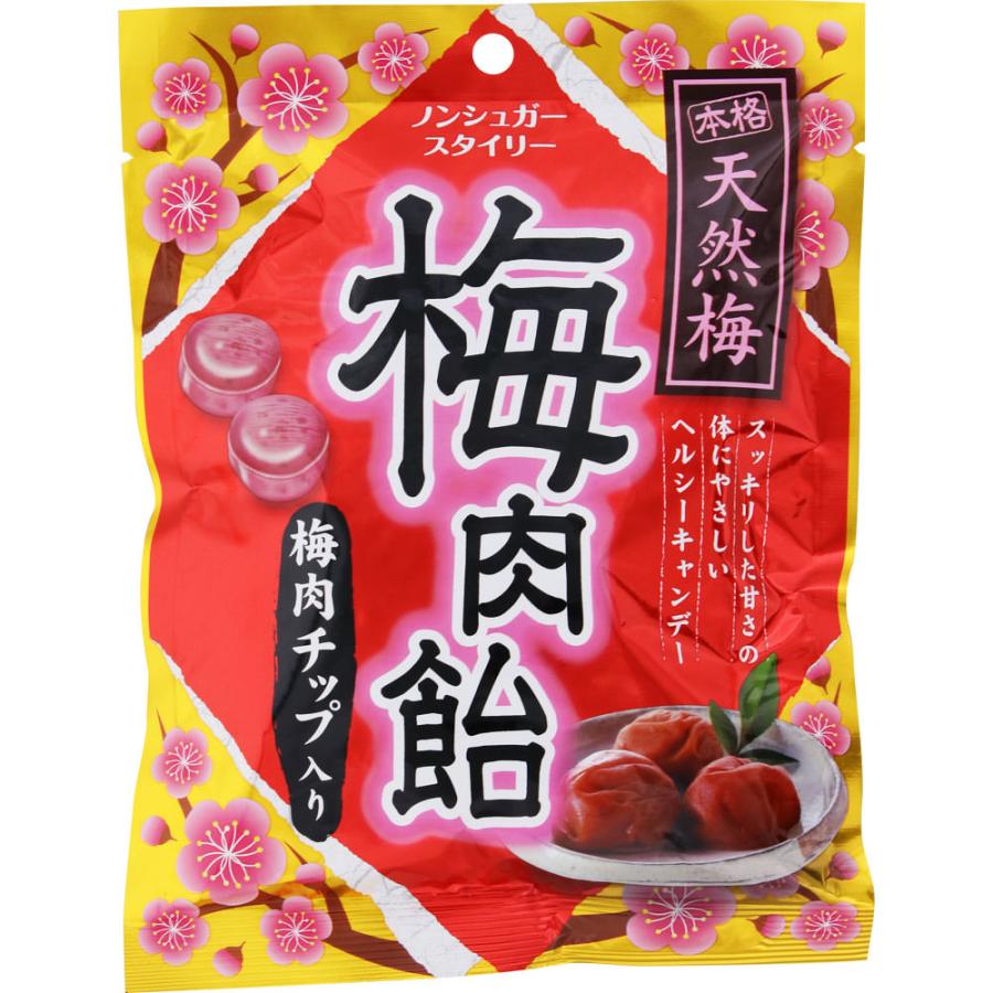 【2個セット】奥田薬品 ノンシュガー スタイリー 梅肉飴 70g(4971159019990-2)【メール便発送】 : 4971159019990-2 : 花x花ドラッグDS店 - 通販 ...