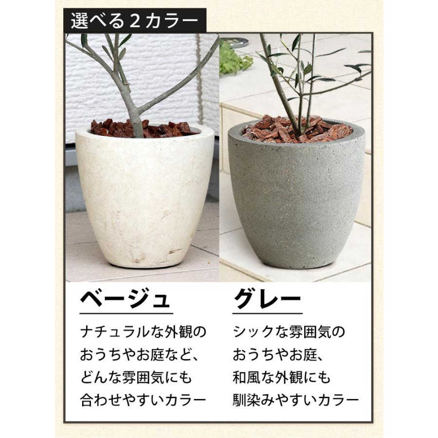 シンボルツリー 鶴亀園オリーブ＆ファイバーポット 鉢植え オリーブの木 オリーブ 観葉植物 インテリア 敬老の日 秋 植物 室内 引越し祝い 新築祝い 開店祝い :hog1705:フラワー ...