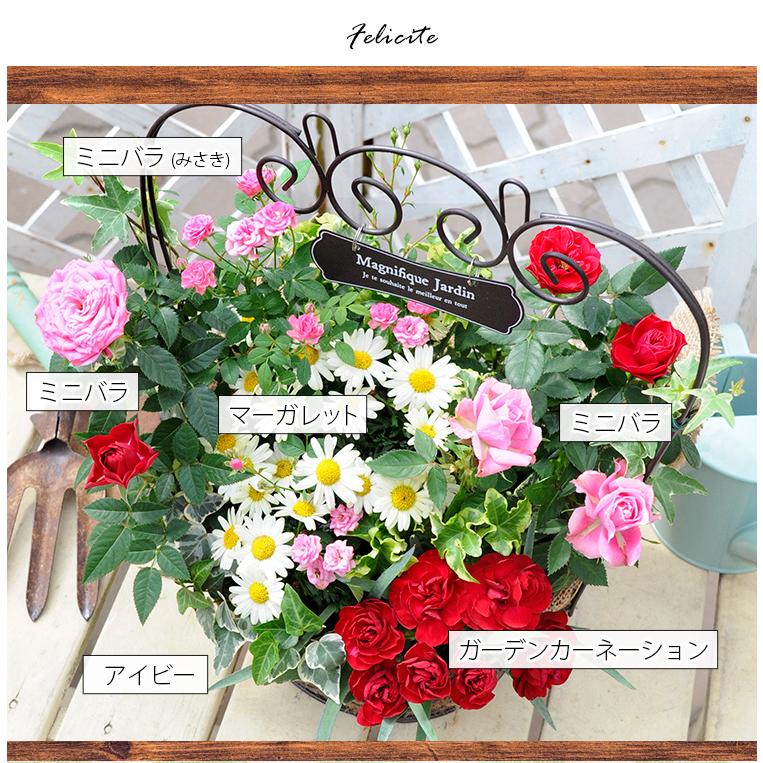 母の日 2022 花 鉢植え ミニチュアローズ寄せ植え〜inプレート付きバスケット 花鉢 鉢花 プレゼント ギフト :mo20h024:フラワーマーケット花由 - 通販 - Yahoo!ショッピング