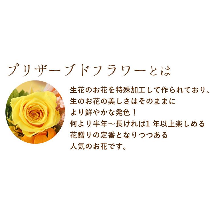 プリザーブドフラワー 和風 くつろぎねこ〜4種類 猫 お祝い 花 還暦祝い 古希 喜寿 米寿 贈り物 定年 退職祝い 花 誕生日 プレゼント 女性 母 祖母 猫好き :zp2213:フラワー ...