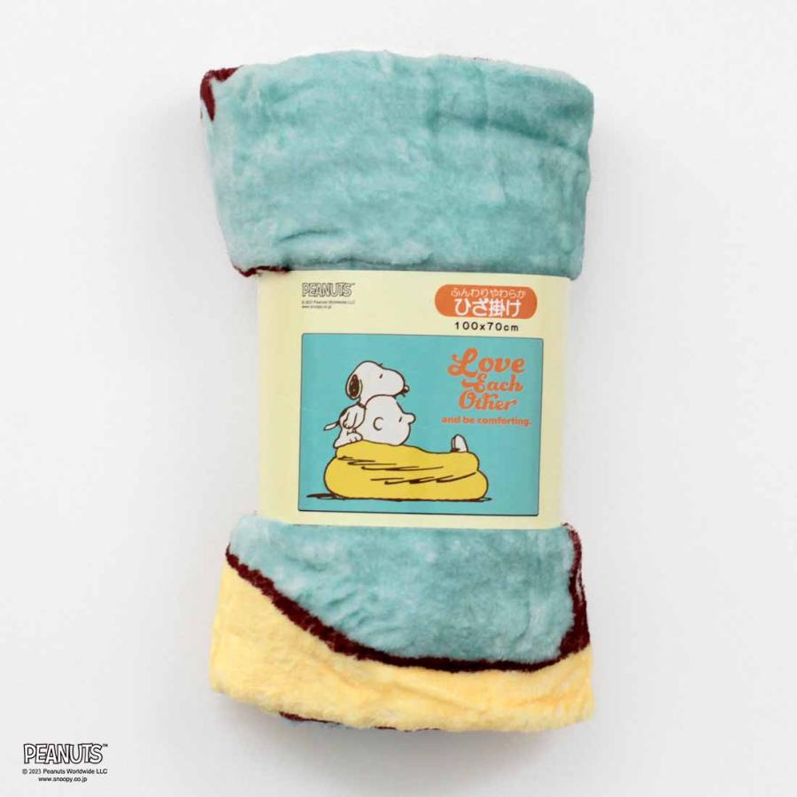 PEANUTS 【SALE ￥1980→￥880】56％OFF！ スヌーピー ひざ掛け スヌーピーとチャーリー・ブラウン ミニブランケット ブルー : ハンカチーフギャラリーYahoo!店 ...