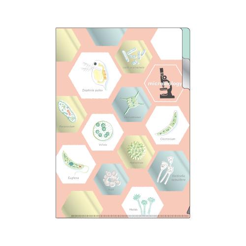 グリーンフラッシュ（GreenFlash） STUDY HOLIC クリアファイル A5 ST−339 微生物学 ハンズ : ハンズYahoo!ショッピング店 - 通販 - Yahoo!ショッピング