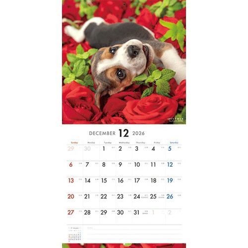 【2026年版・壁掛】 ピクトワン（PICTWAN） ビーグル L版 L002 ハンズ : ハンズYahoo!ショッピング店 - 通販 - Yahoo!ショッピング