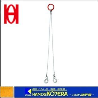 OH オーエッチ 2点吊りワイヤーフック付 2W9-10 9mmx1M(1000kg) : ハンズコテラ Yahoo!ショップ - 通販 - Yahoo!ショッピング