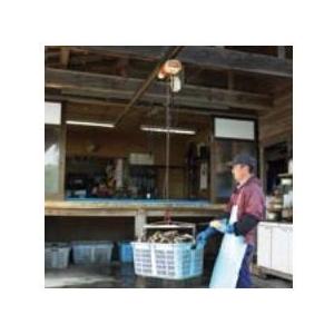 KITO キトー 電気チェーンブロック 1速形 ED10S 定格荷重100kg 揚程3m 単相100V : ハンズコテラ Yahoo!ショップ ...