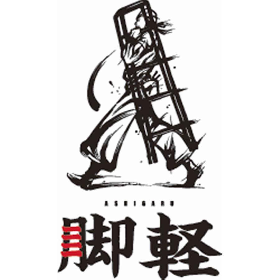 代引き不可 長谷川工業 Hasegawa 脚軽脚立 RZ 2〜7段 RZ-06c〜RZ-21c 軽くて丈夫な脚立 :RZ:ハンズコテラ Yahoo!ショップ - 通販 - Yahoo!ショッピング