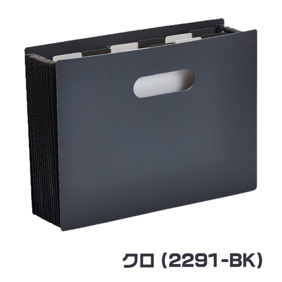 KING JIM キングジム サクッと整理 ドキュメントファイル 『オープンタイプ』 2291 新製品 新発売 整理 収納 アドバイザー プロ集団監修 断捨離 整理整頓 : はんこショップお ...