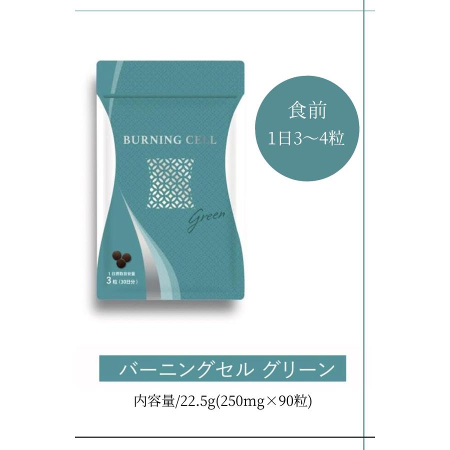 Burning cell (バーニングセル) GREEN 和漢サプリ (90粒 30日分 / 糖質 脂質カット サプリ) 糖質制限 糖質カット ...