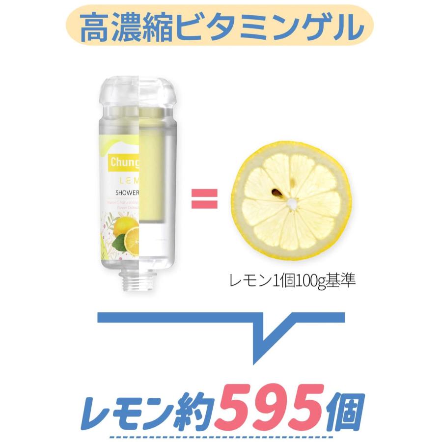 [ION POLIS] ビタミンシャワーフィルター イオンポリス シャワーヘッド専用 ionpolis Vitamin Shower ...