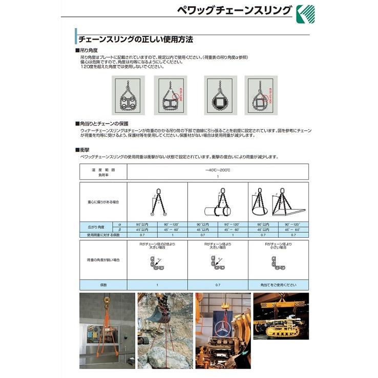 PEWAG（ペワッグ）チェーンスリング【S-QP2R-6-2】4本吊り 2.8t用 6mm×2m ロッキング機能付フックタイプ セット品 チェーン長さ調節機能付き 4点吊り 短納期 ...