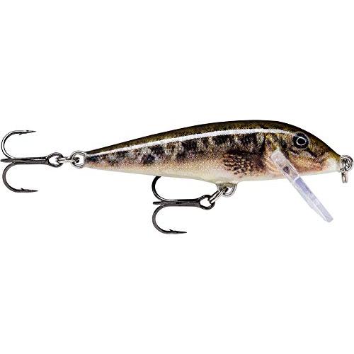 Rapala(ラパラ) ミノー カウントダウン ユニバーサルカラー 5cm 5g ライブハゼ SCPL CD5 ルアー : 川西ストア - 通販 - Yahoo!ショッピング