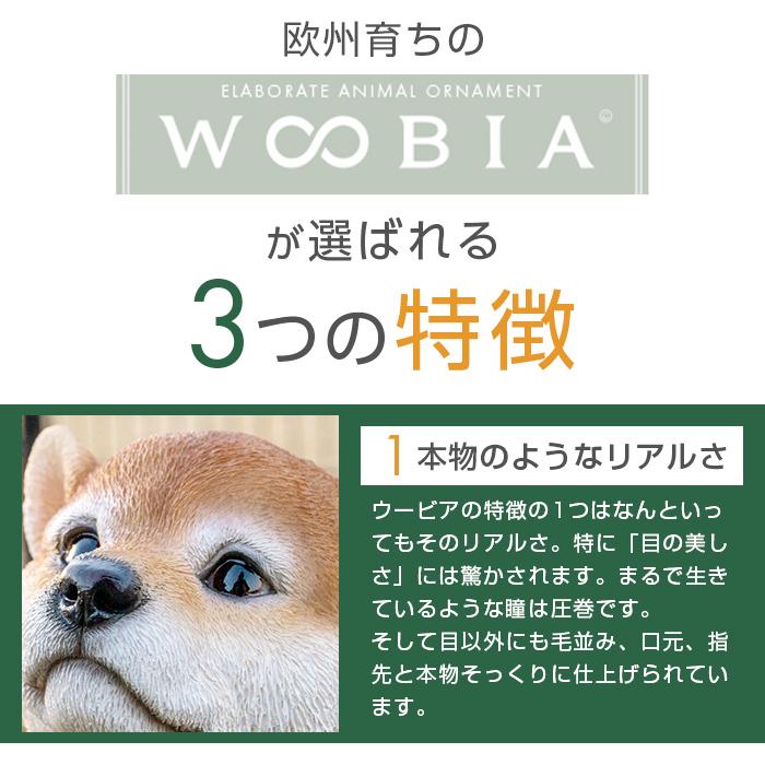 猫 置物 ガーデニング 雑貨 ガーデン オーナメント オブジェ 〔 サバトラ 犬 庭 ペット WooBia : 光るインテリアのHAPPY JOINT - 通販 - Yahoo!ショッピング