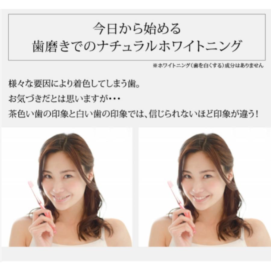 シェルミラック デンタフレッシュエッセンス III 49ml 歯 ホワイトニング 歯磨きジェル 歯みがき 歯の黄ばみ取り 虫歯 口臭 予防 ステイン 着色 黄ばみ ヤニ : Happy ...