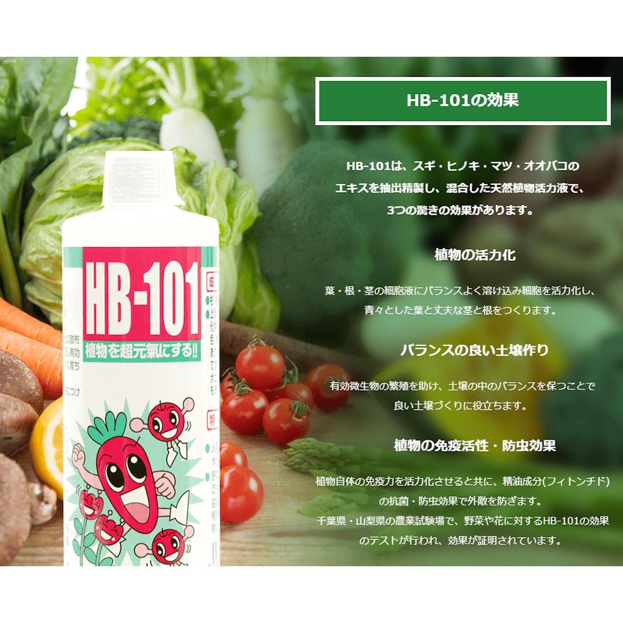 【送料無料】HB-101 1L サンプル4本付き (1000cc) 1000ml天然活力剤 切花 観葉植物 多肉 サボテン 果樹 ガーデニング 仏花 芝生 盆栽 家庭菜園 花木 苗 HB101 ...