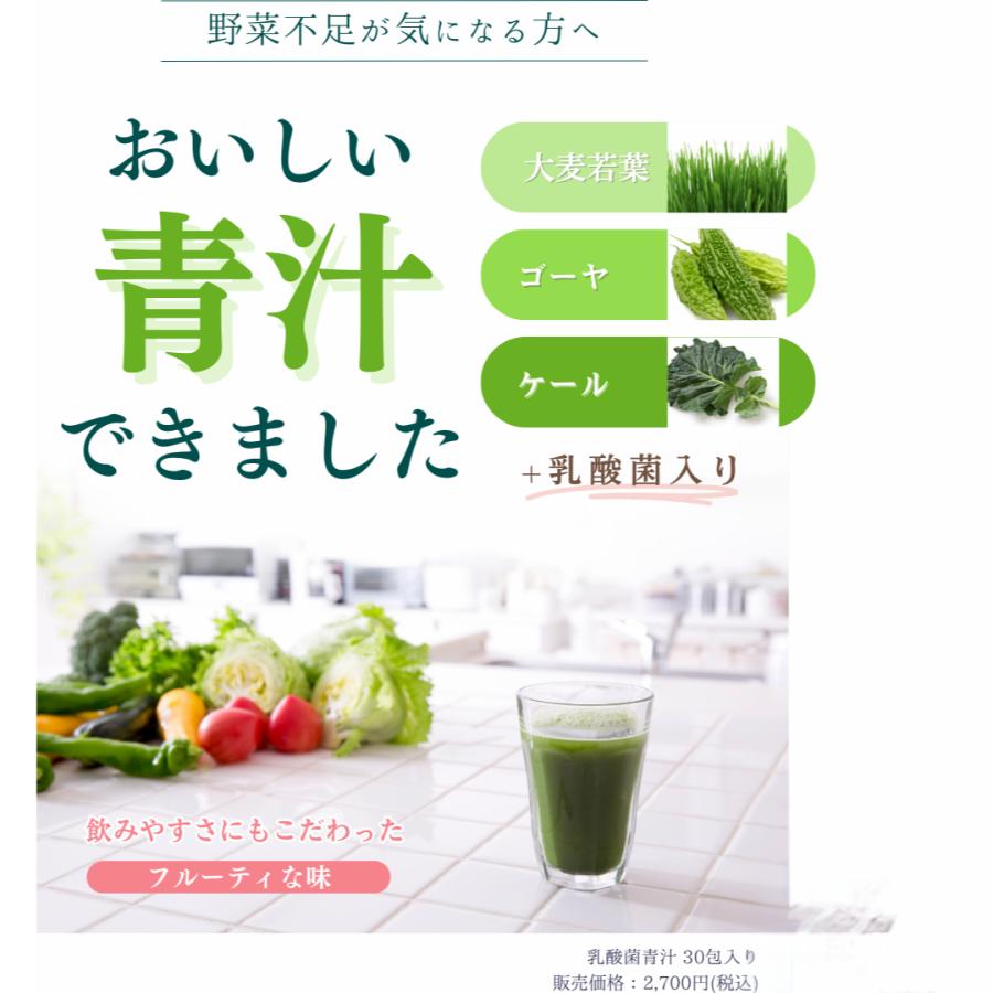 乳酸菌入り 青汁 90g（3g×30包） 【参考価格2700円】※賞味期限2027.12.31 分包 粉末タイプ : HARUオークション ヤフー店 - 通販 - Yahoo!ショッピング