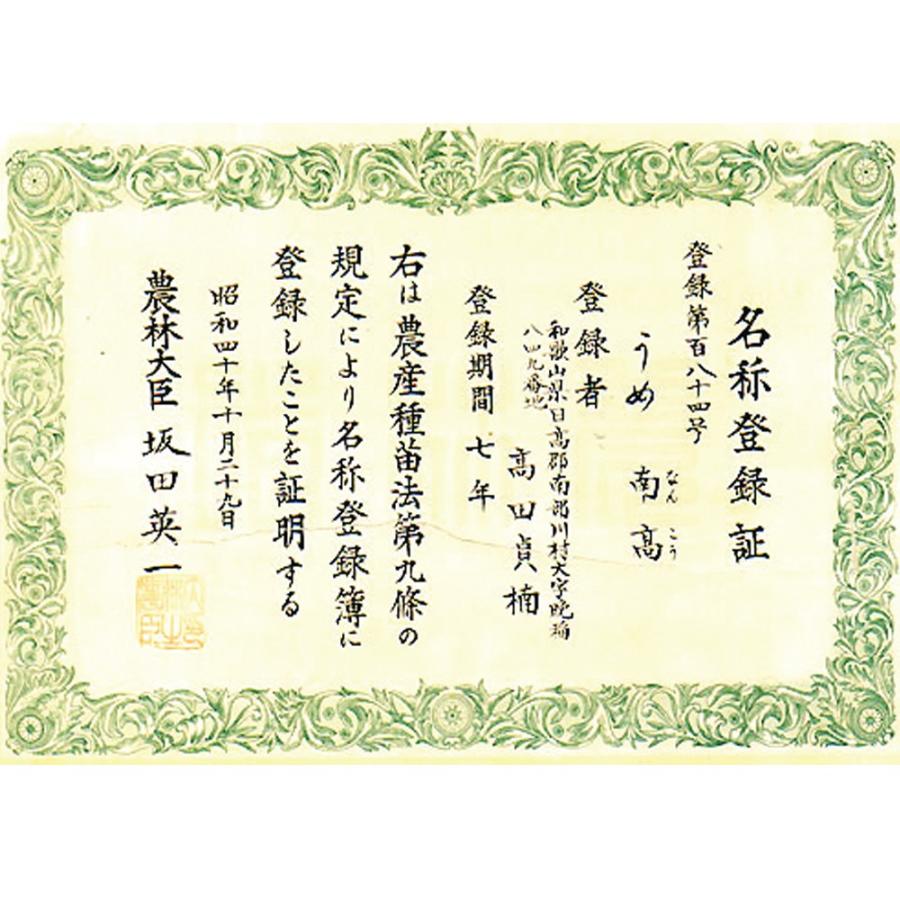 Y705-020 本場紀州南高梅「絹梅」800g : 晴富 - 通販 - Yahoo!ショッピング