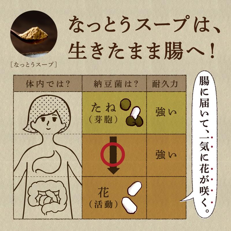 はすや なっとうスープ[洋風ブイヨン]66g :YHPB01:粉なっとう・粉末納豆のはすやヤフー店 - 通販 - Yahoo!ショッピング