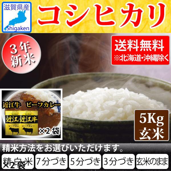 コシヒカリ 近江牛カレー160g2袋付き 令和4年新米 滋賀県産コシヒカリ5Kg玄米 【精米方法が選べます】 お好きな分つきに 健康応援 送料無料※一部地域を除く : Korezo 秦荘店 ...
