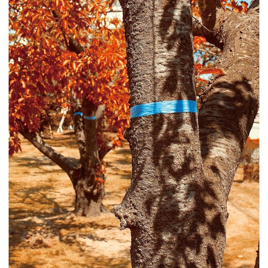 シンワ測定(Shinwa Sokutei) マーキングテープ 30mm×50m ブルー 74125 単品 : hak0035091 : 葉月Yahoo!店 - 通販 - Yahoo!ショッピング