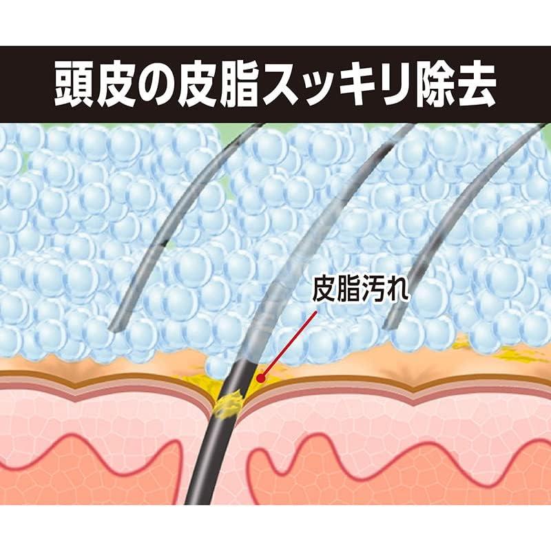 PRO TEC（LION） TEC(プロテク) (医薬部外品) 頭皮ストレッチ シャンプー 詰め替え230g×3個+デオドラントソープ1回分おまけ付 : 葉月Yahoo!店 - 通販 ...