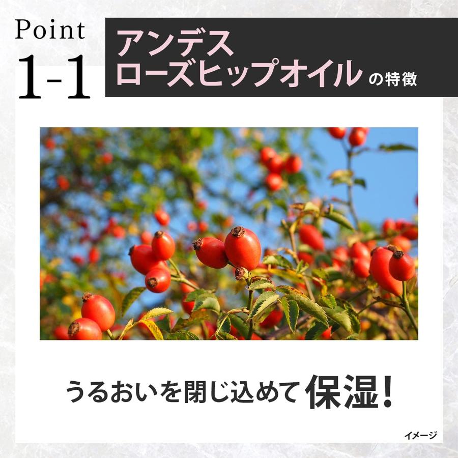 LUX ラックス ボタニフィーク シャンプー コンディショナー トリートメント ポンプ セット 各510g プレミアム ダメージリペア ノンシリコン : 葉月Yahoo!店 - 通販 ...