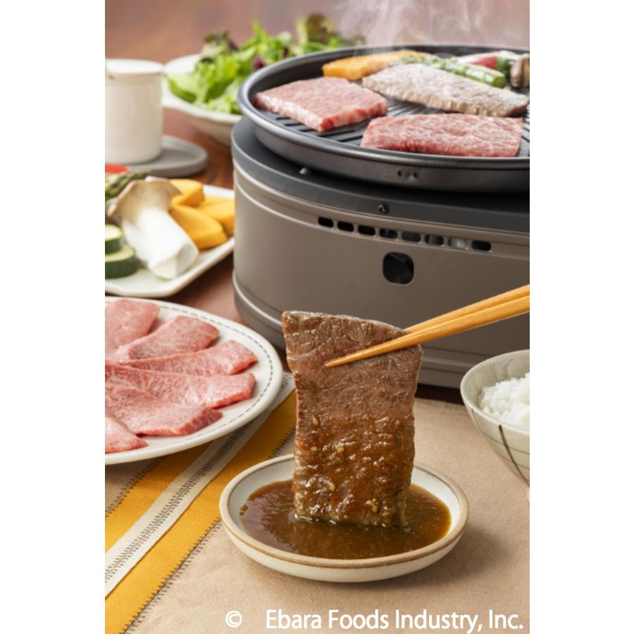 エバラ 黄金の味 濃熟 360g ×2本 焼肉のタレ 焼き肉のタレ 焼肉 タレ : 葉月Yahoo!店 - 通販 - Yahoo!ショッピング