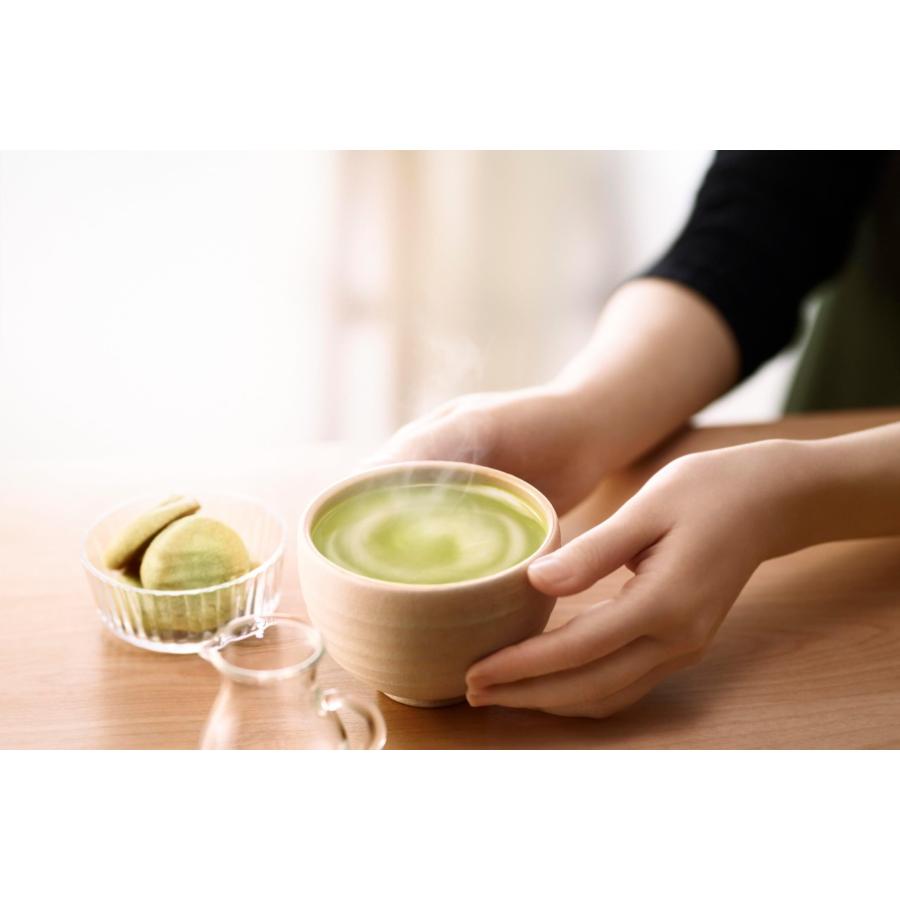 AGF AGF(エージーエフ) ブレンディ スティック 抹茶オレ 【 粉末 抹茶 】 20個 (x 1) : 葉月Yahoo!店 - 通販 - Yahoo!ショッピング