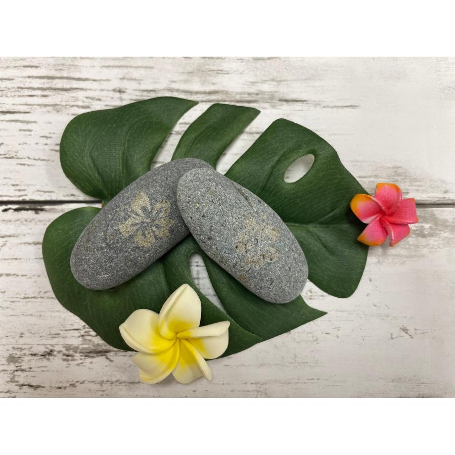 イリイリ フラ フラダンス 楽器 ’ILI'ILI ILIILI 片手用 袋付 2個セット ハイビスカス 打楽器 小石 カスタネット ...