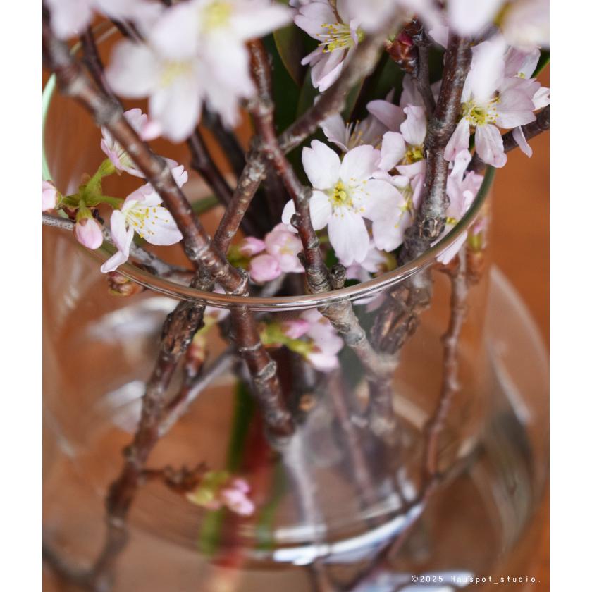 ガラスベース 枝物 花瓶 リューズガラスの花瓶 ロケート14 Lサイズ フラワーベース ガラス 大きい おしゃれ 透明 北欧 ギフト 母の日 贈り物 : Hauspot - 通販 ...