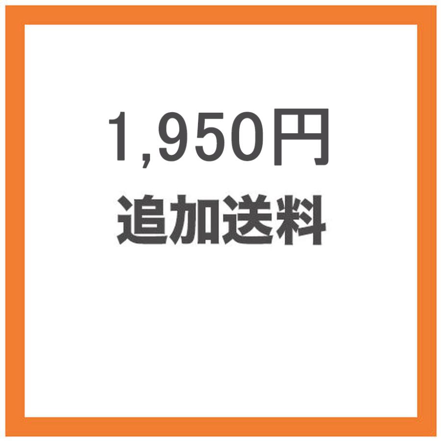 追加送料1950円分 : Carina ヤフーショップ - 通販 - Yahoo!ショッピング
