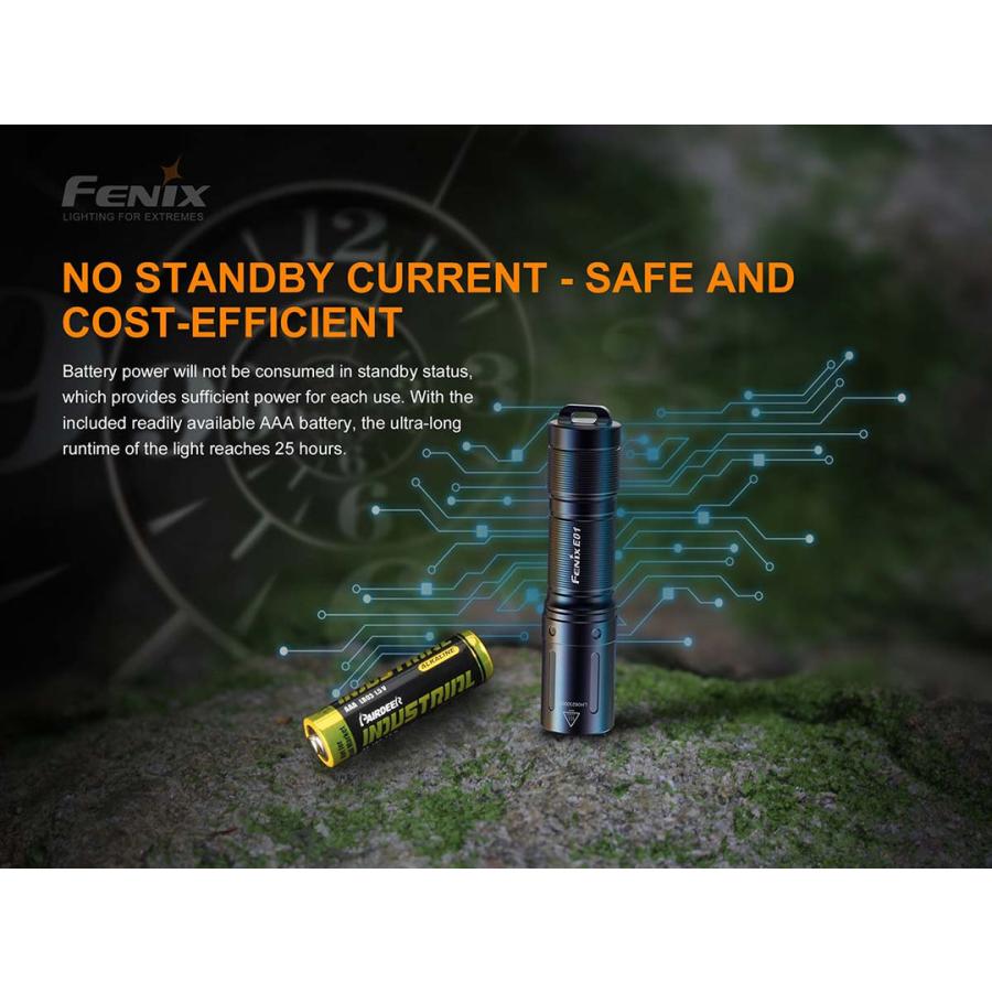 FENIX（アウトドア） Fenix E01 V2.0 キーチェーンライト 最大100ルーメン 単3電池駆動 ポリカーボネート製 IP68防水 超軽量 小型 フェニックス : ライト専門 ...