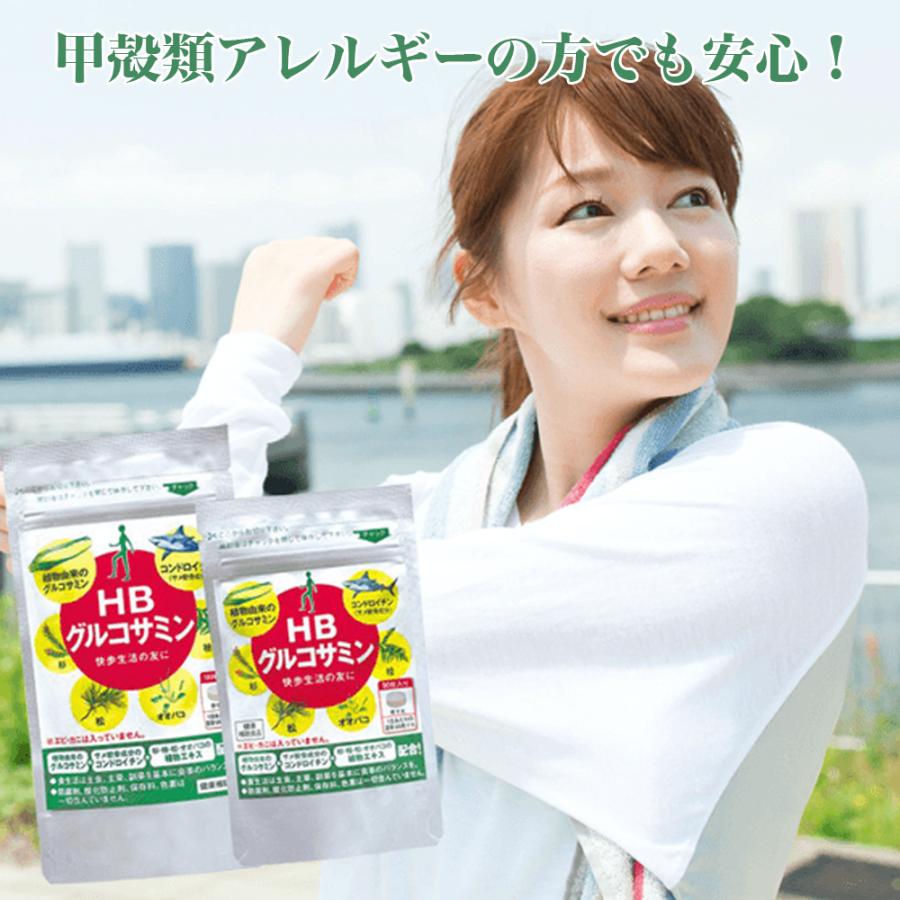 フローラ 【メーカー公式】【送料無料】フローラ(Flora) HB グルコサミ ン【180粒】×3袋 : HB-101ネットショップヤフー店 - 通販 - Yahoo!ショッピング