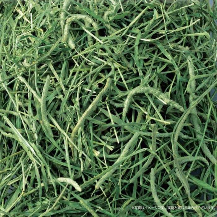 GEX ジェックス おいしいチモシー650g : ホームセンターグッデイ - 通販 - Yahoo!ショッピング