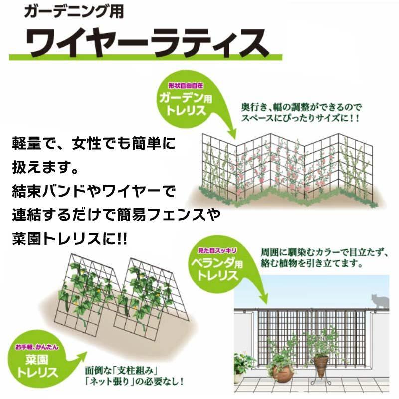 タカショー 『10枚セット価格』 EG-LS609 EGラティス S609 ラティス 誘引 つる バラ : ホームセンターバローYahoo!店 - 通販 - Yahoo!ショッピング