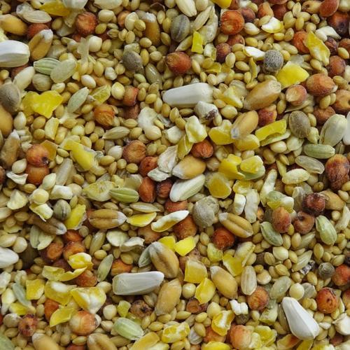 NPF エクセルキジバトノマキ餌1.6kg 小鳥 1.6kg :vh-4932804364919:ホームセンターバローYahoo!店 - 通販 - Yahoo!ショッピング