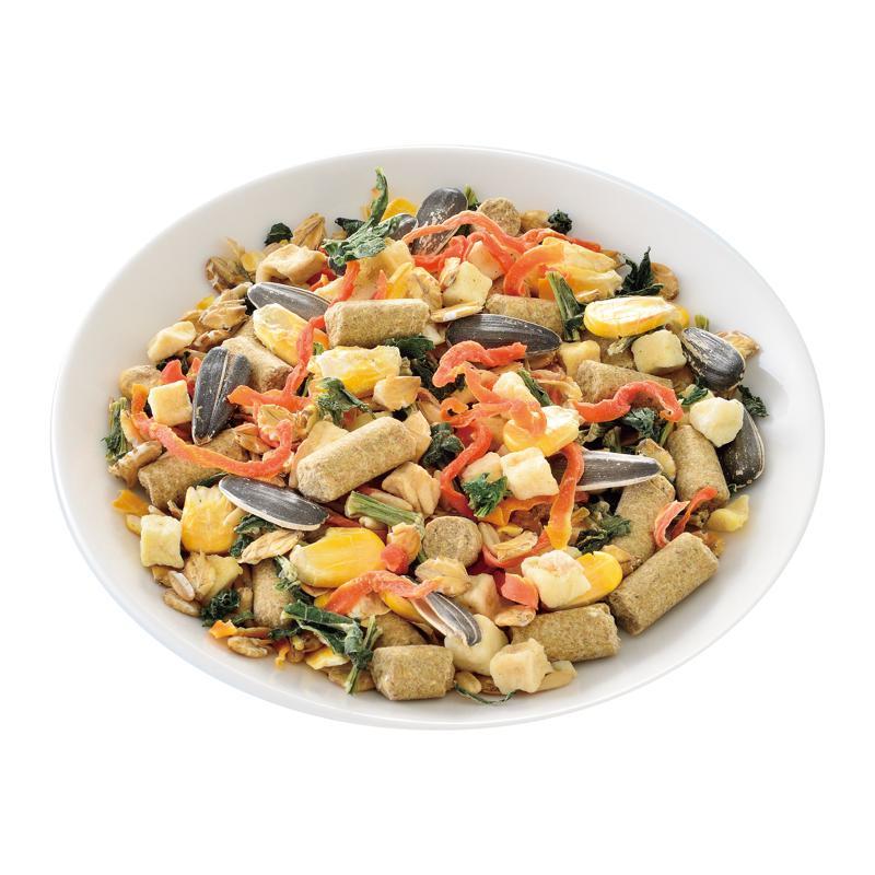 ジェックス GEX 彩食健美 ハムスターミックス ゴールデンハムスター専用 220g : ホームセンターバローYahoo!店 - 通販 - Yahoo!ショッピング