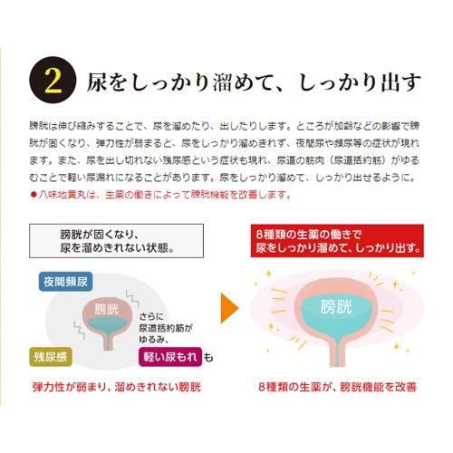 Kracie クラシエ薬品 八味地黄丸A 180錠（15日分）【第2類医薬品】 : ヘルスケアコヤマ津田 - 通販 - Yahoo!ショッピング
