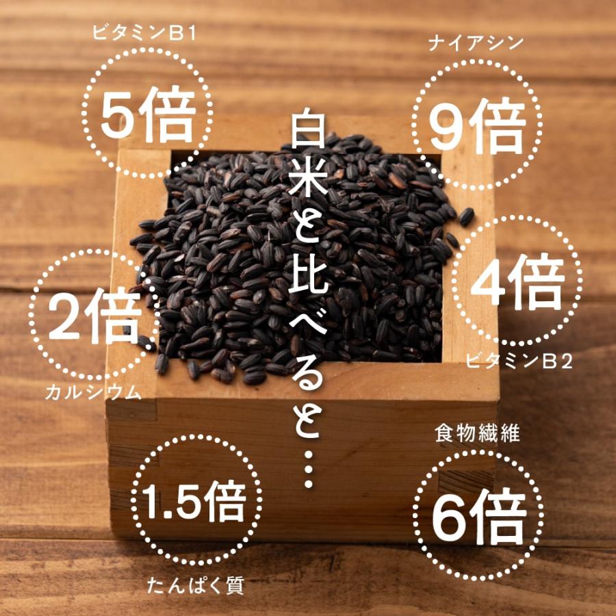 セール 国産 黒米 2.7kg(450g×6袋) 無添加 無着色 古代米 雑穀 雑穀米 ダイエット 置き換え 食品 送料無料 : healthy&smile - 通販 - Yahoo!ショッピング