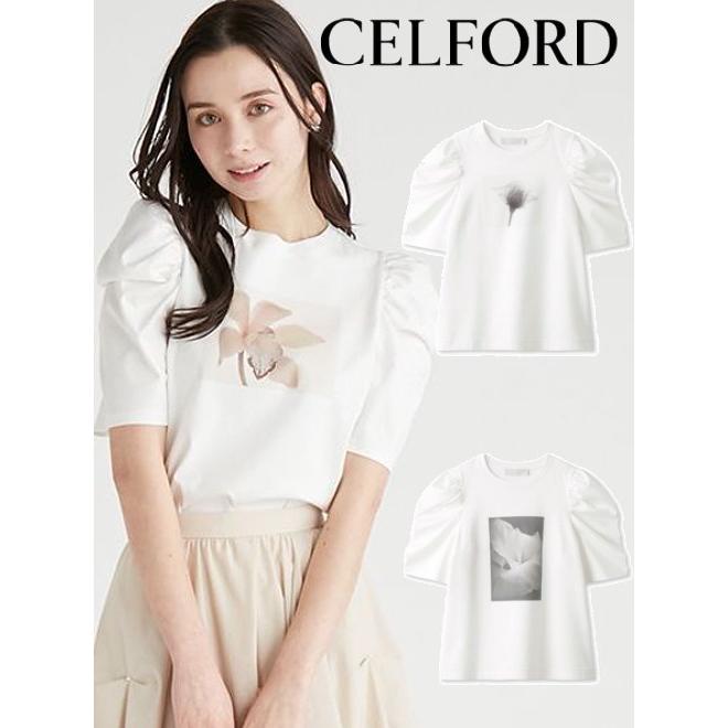 CELFORD / セルフォード バリエーションプリントTシャツ 24春夏 CWCT242003 (12%OFF&PT5倍) : Hearty Select Yahoo店 - 通販 ...