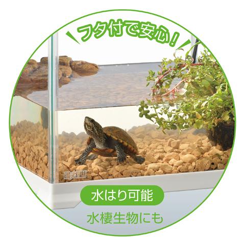 GEX（ジェックス） レプテリアホワイト300CUBE High/ケージ ゲージ 水槽 ガラスケース フタ付き 爬虫類 : 小動物専門店ヘヴン ヤフー店 - 通販 - Yahoo!ショッピング