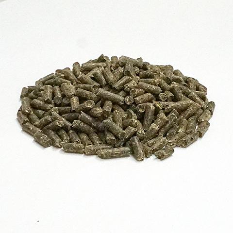 GEX Rabbit Gift 1kg/ラビットギフト フード エサ ペレット バニー うさぎ ジェックス : 小動物専門店ヘヴン ヤフー店 - 通販 - Yahoo!ショッピング