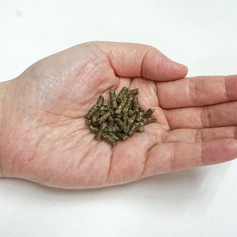 GEX Rabbit Gift 1kg/ラビットギフト フード エサ ペレット バニー うさぎ ジェックス : 小動物専門店ヘヴン ヤフー店 - 通販 - Yahoo!ショッピング