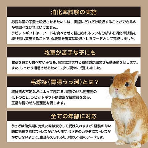 GEX Rabbit Gift 1kg/ラビットギフト フード エサ ペレット バニー うさぎ ジェックス : 小動物専門店ヘヴン ヤフー店 - 通販 - Yahoo!ショッピング
