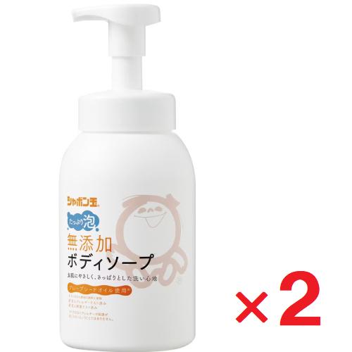 シャボン玉石けん 無添加ボディソープ たっぷり泡 ボトル 570mL ×2個 : ヘイセイドラッグ ヤフー店 - 通販 - Yahoo!ショッピング